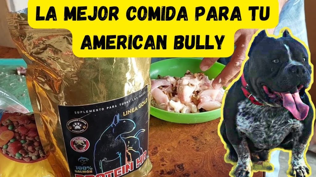 Qué verduras puede comer un American Bully | Blog de ADOPTA un Animal Qué verduras puede comer un American Bully | Blog de ADOPTA un Animal